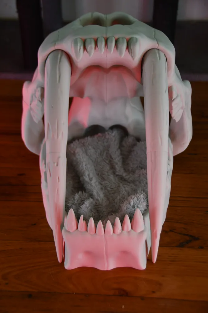 Saber Tooth Tiger Skull Pet Bed - Free 3D Print Model - MakerWorld