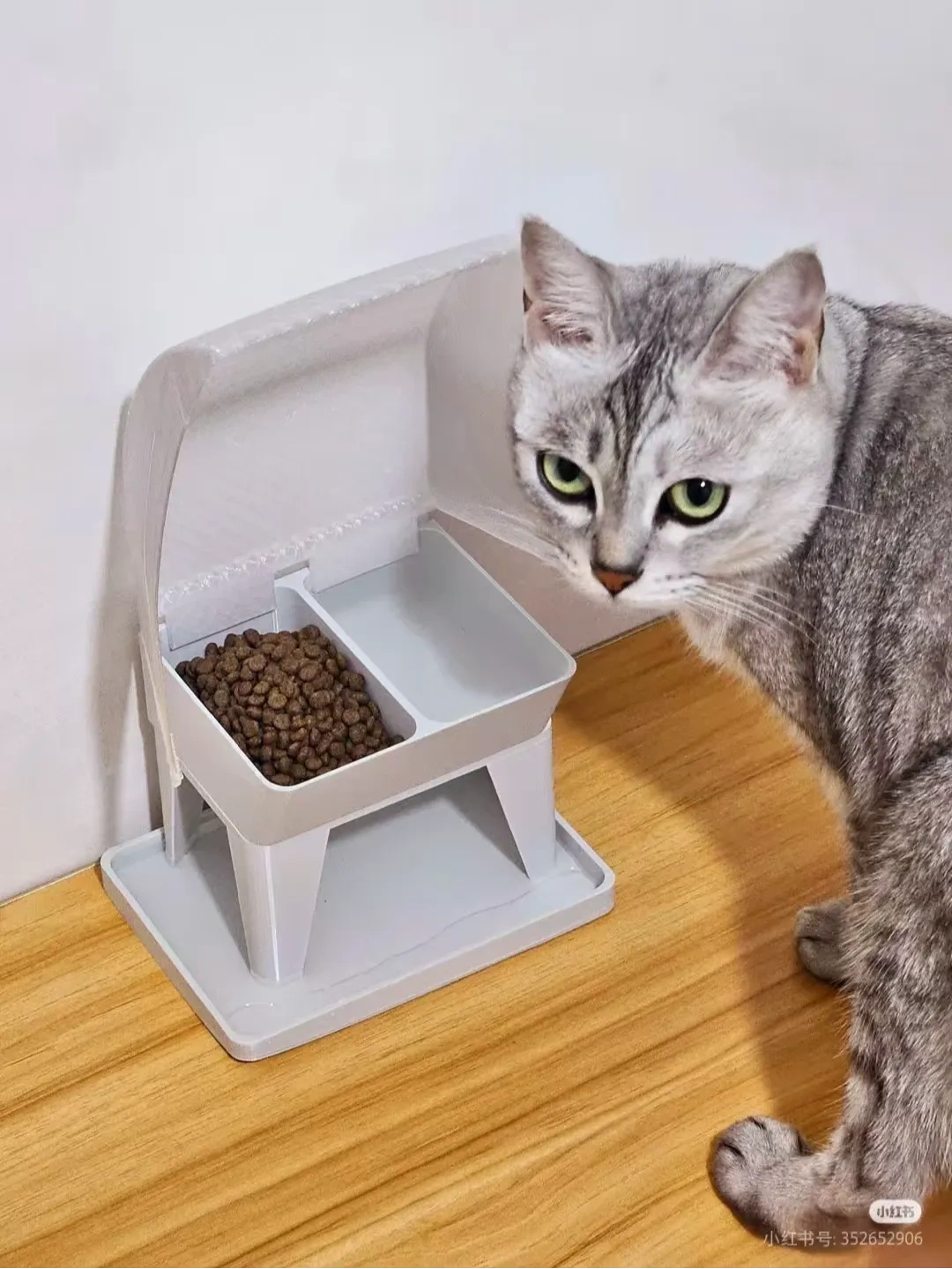 Stray cat bowl (rainproof and insect-proof) by user_1703388780 - MakerWorld