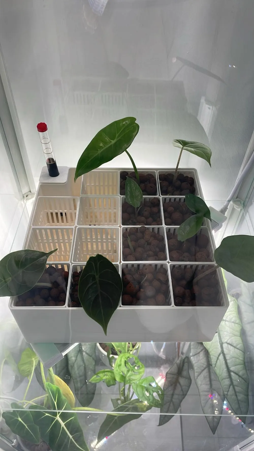 Modular Water Planter - hydroponic system by chuuubert MakerWorld ...