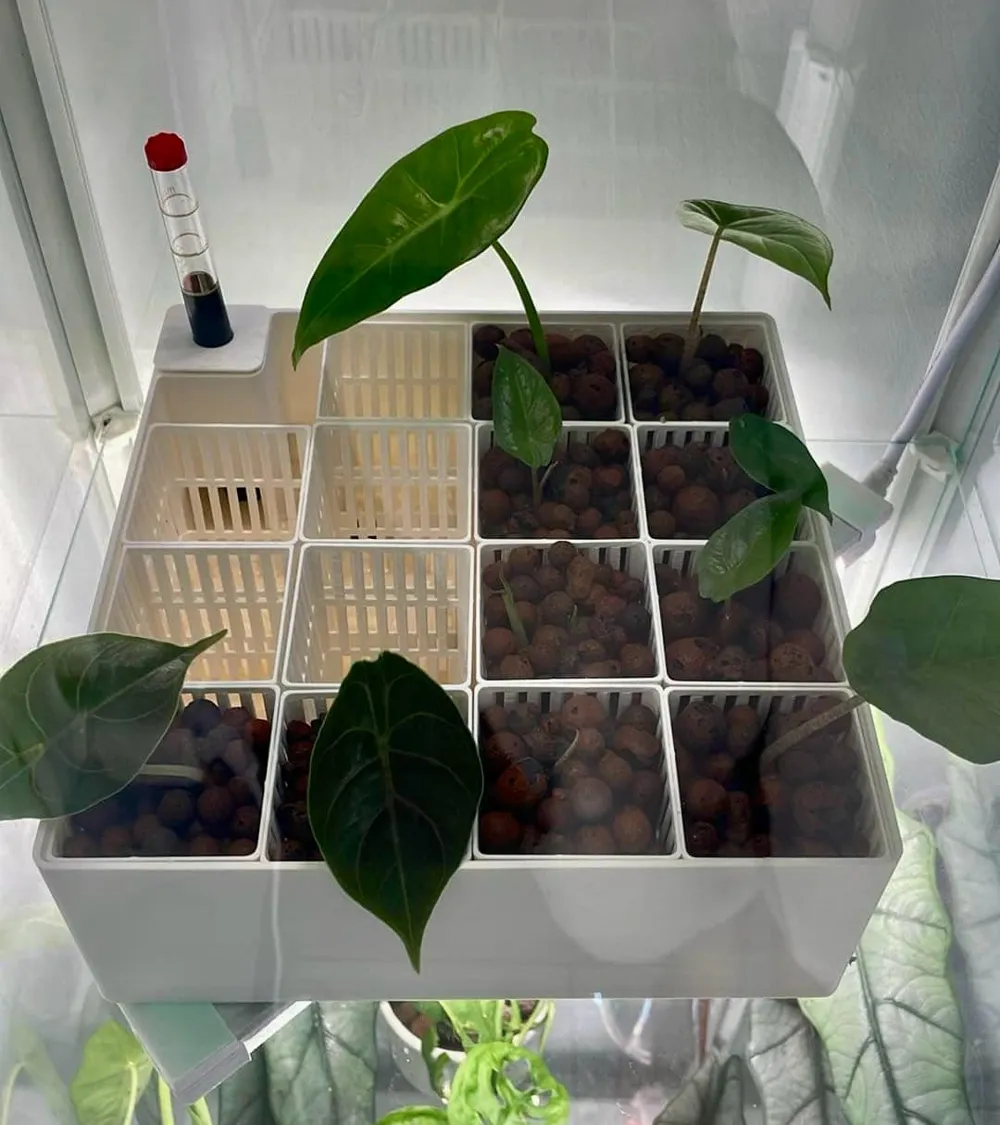 Modular Water Planter - hydroponic system by chuuubert MakerWorld ...