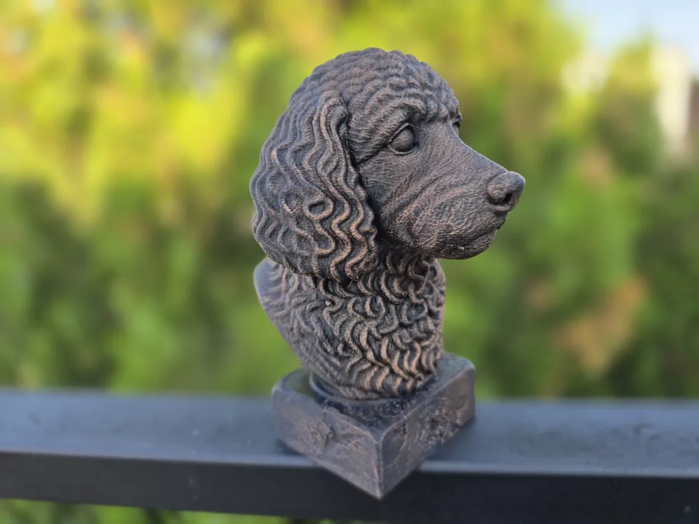 COCKAPOO BUST by Messy_Panda MakerWorld: Download Free 3D Models