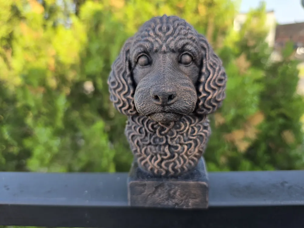 COCKAPOO BUST by Messy_Panda MakerWorld: Download Free 3D Models