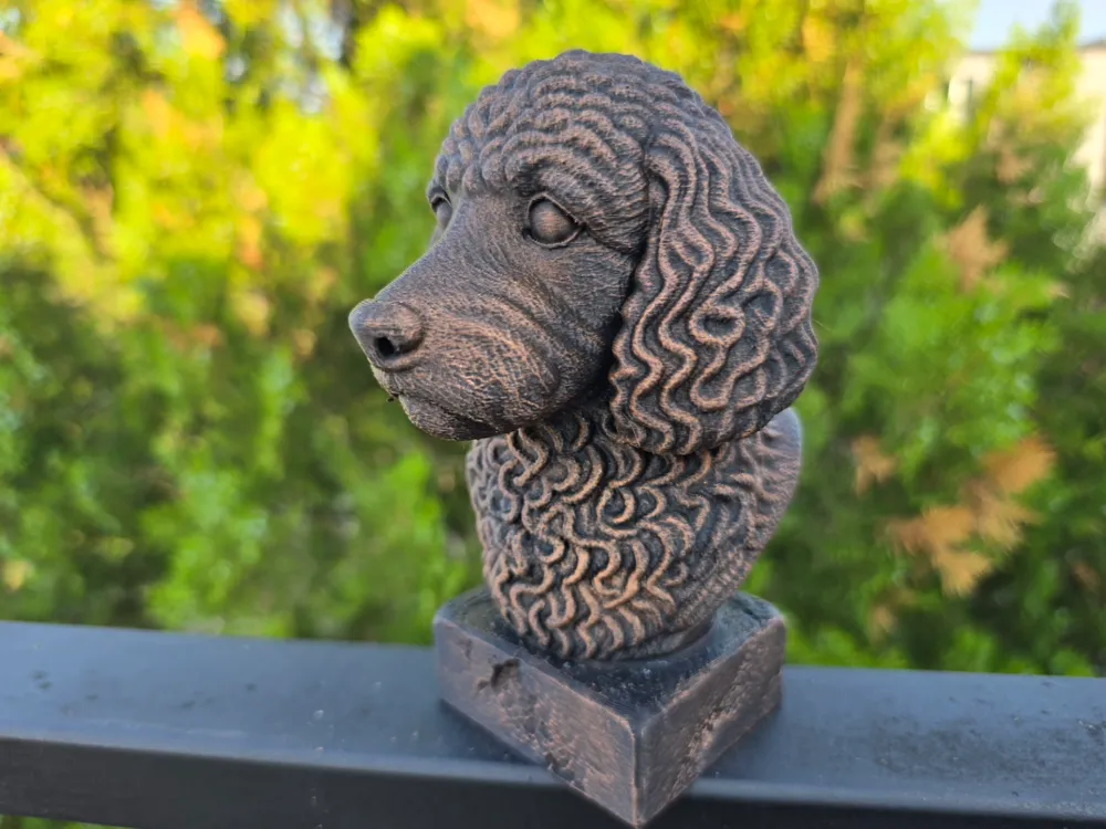 COCKAPOO BUST by Messy_Panda MakerWorld: Download Free 3D Models
