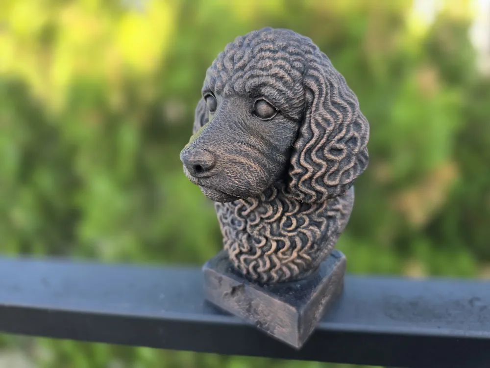 COCKAPOO BUST by Messy_Panda MakerWorld: Download Free 3D Models