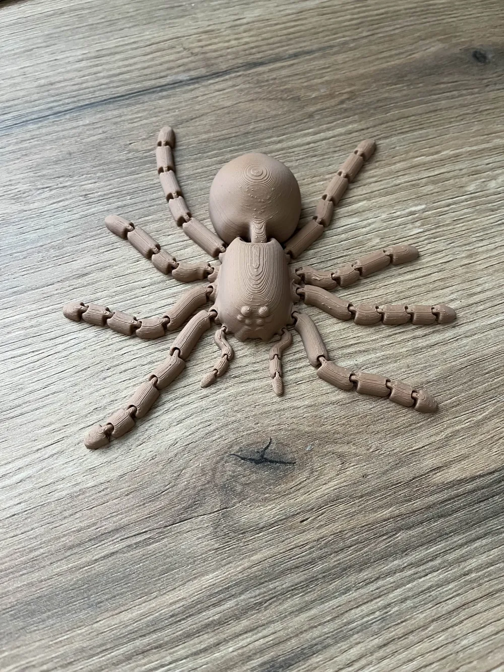 Articulated Spider - Free 3D Print Model - MakerWorld