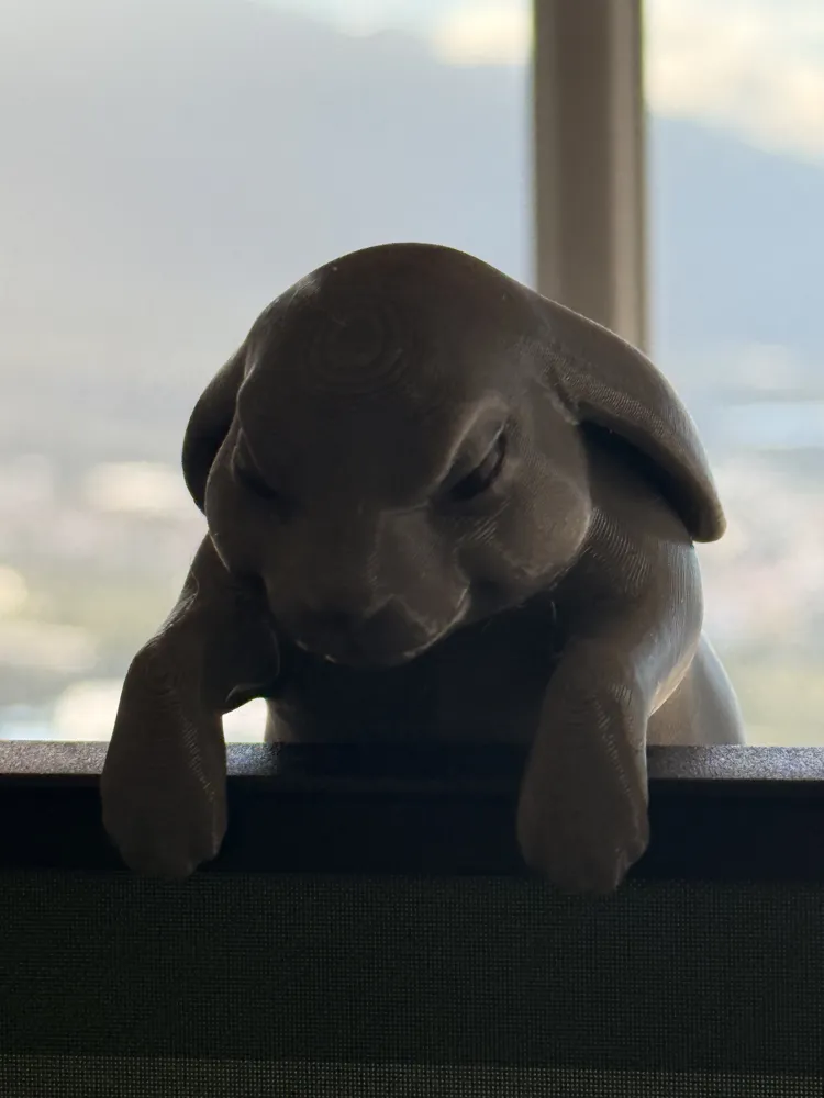 O Coelhinho Aprovado - Guardião Atrevido do Monitor - Modelo gratuito ...