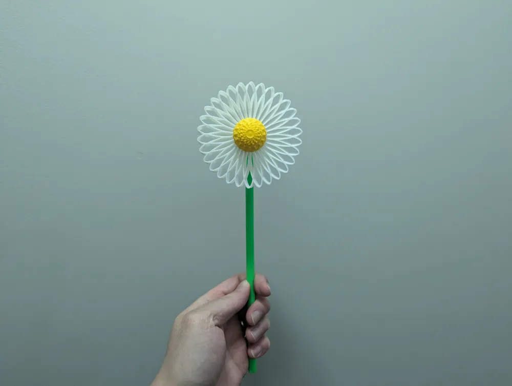 Daisy Pinwheel - Smaller Version by Pound Cake - MakerWorld