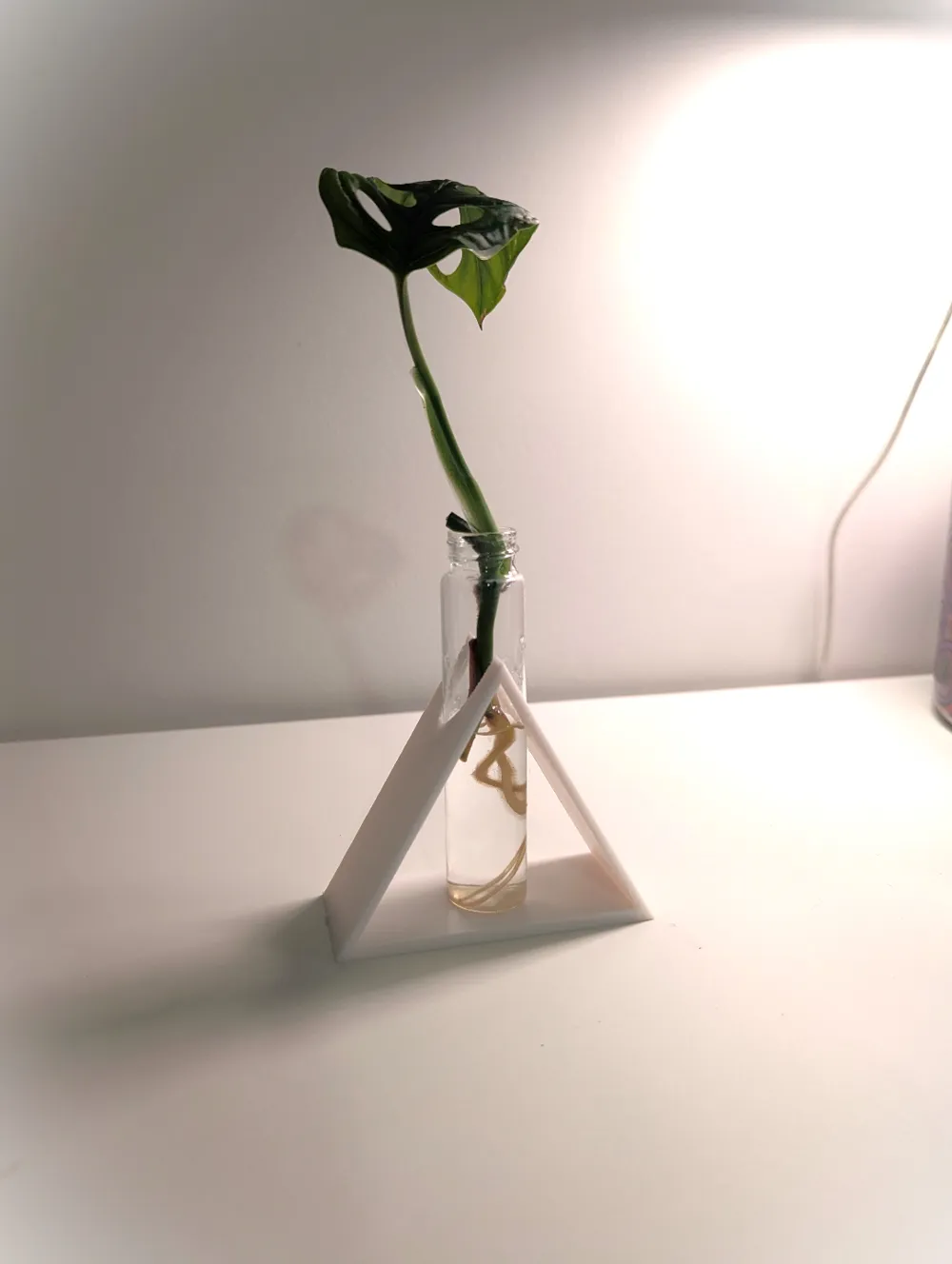 Triangle Plant Propagation Test Tube Holder by tsarrrstudioMakerWorld ...