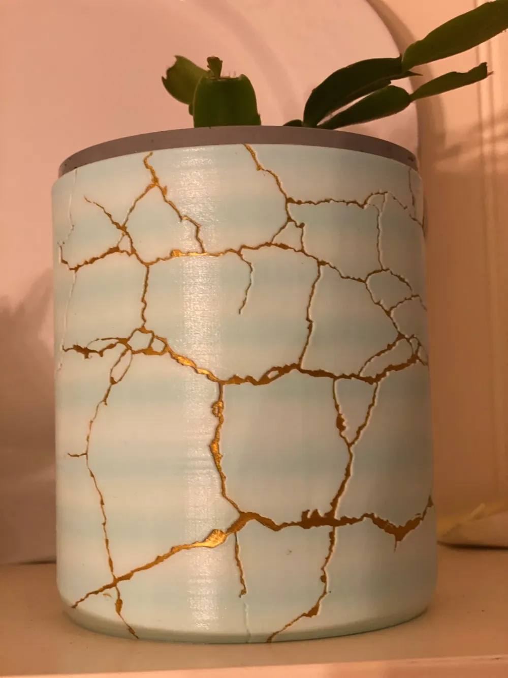 Cracked Flower Pot Shared by colombod - MakerWorld