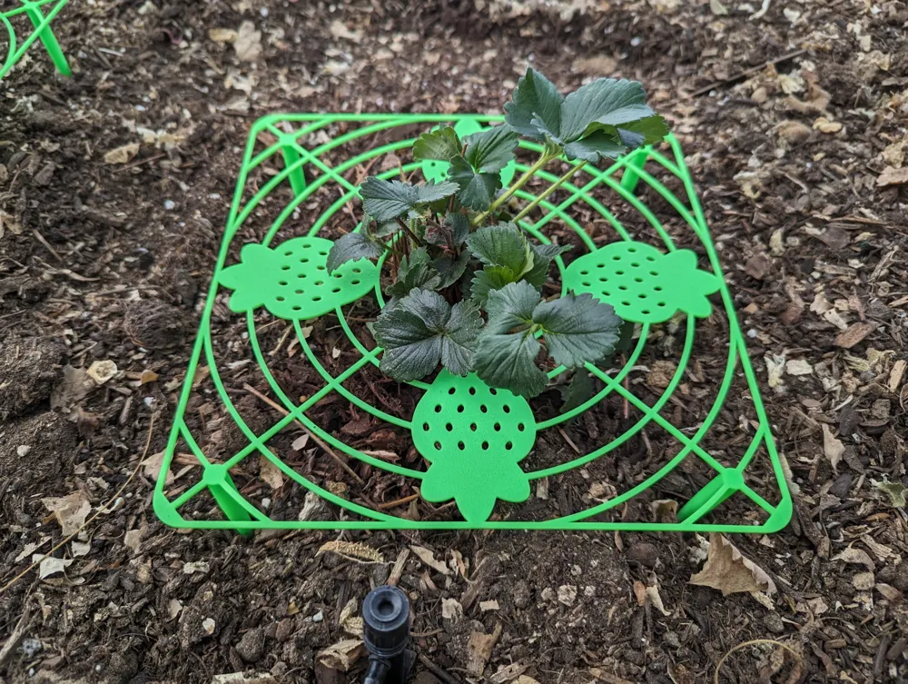 Garden Strawberry Support by Fletch - MakerWorld