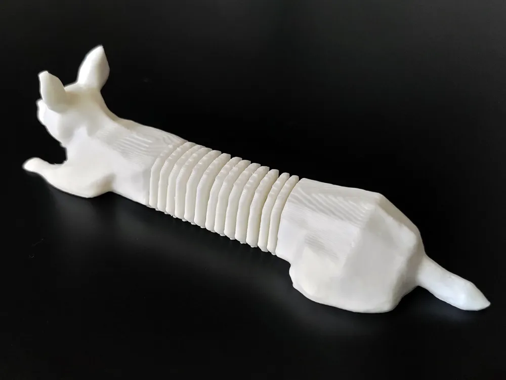 Lorgi (Long Corgi) with Spring-Shaped Body by Artem MakerWorld ...