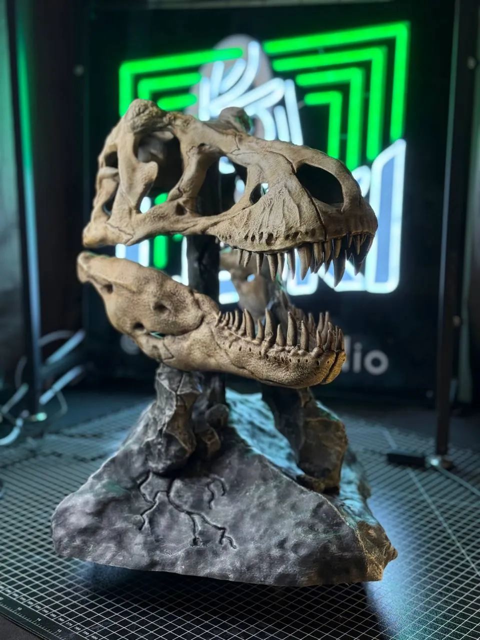 AMNH 5027 T-rex Skull & Display Mount by Its_Donnie MakerWorld ...