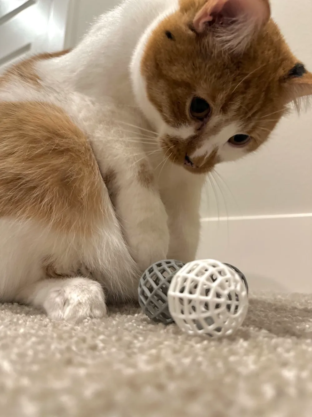 Print-in-place Cat Toys - V2 - Free 3D Print Model - MakerWorld