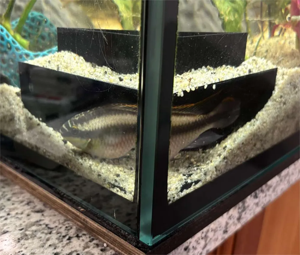 90° observation corner cave by Rangebear MakerWorld: Download Free 3D Models