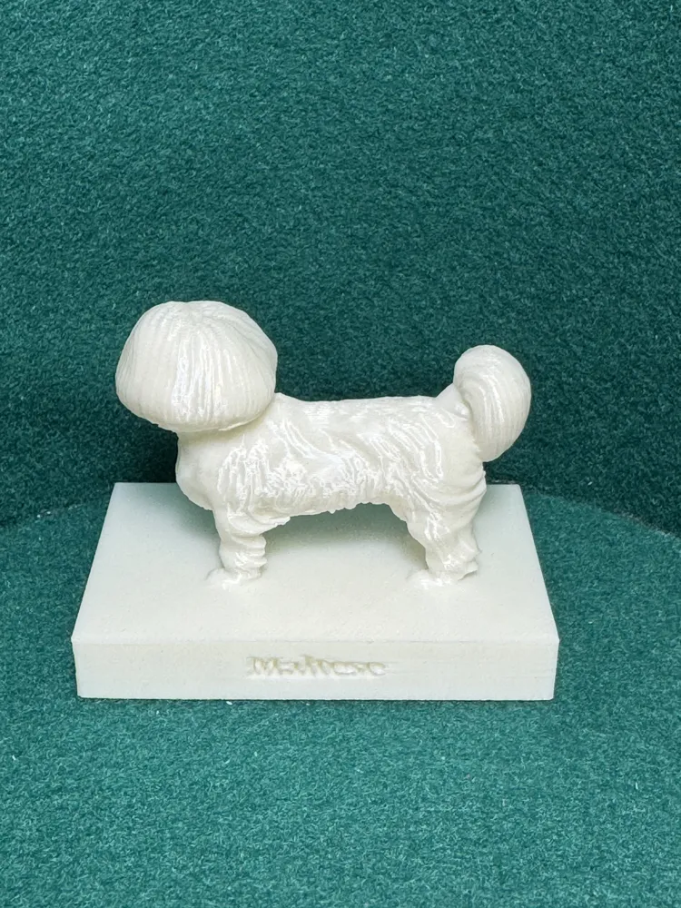 Dog Breeds Minis: Maltese (#53 of 80+) - Free 3D Print Model - MakerWorld