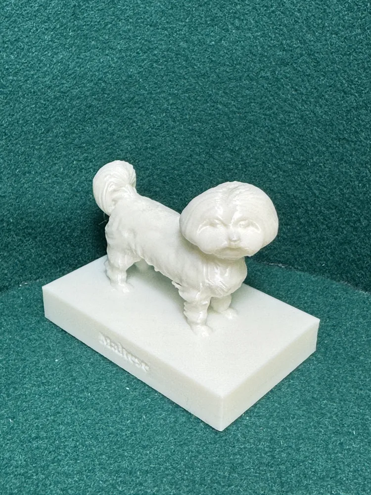 Dog Breeds Minis: Maltese (#53 of 80+) - Free 3D Print Model - MakerWorld