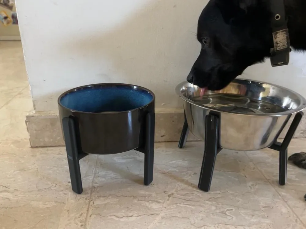pet bowl raiser - Free 3D Print Model - MakerWorld