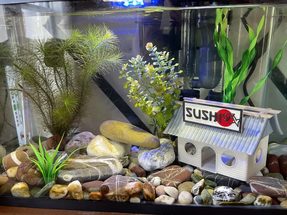 Sushi Shop Aquarium Decoration - Free 3D Print Model - MakerWorld