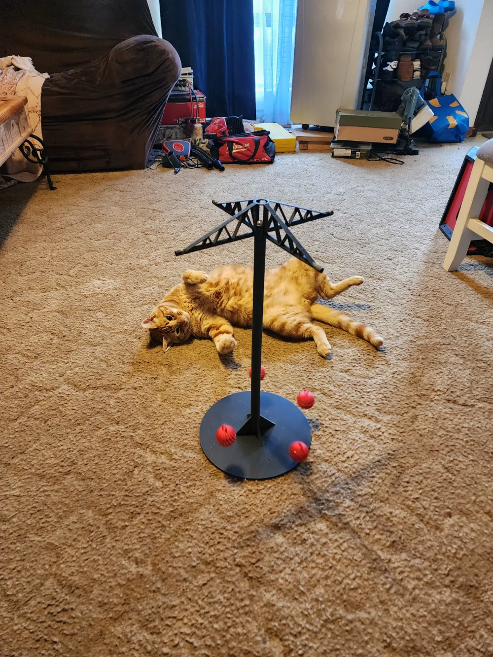 Awesome Swinging Cat Toy by JeremyMaker123 MakerWorld: Download Free 3D ...