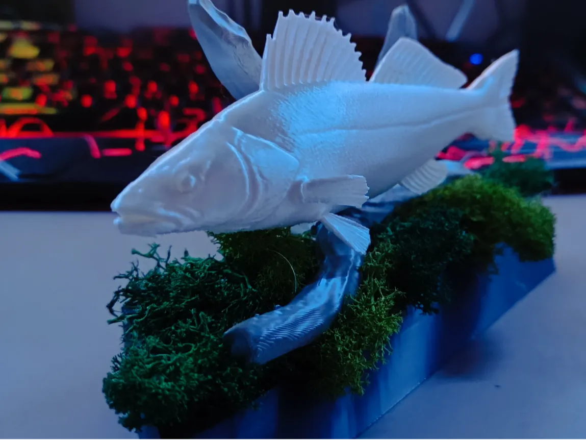 Zander– Fishing Display – STL - Free 3D Print Model - MakerWorld