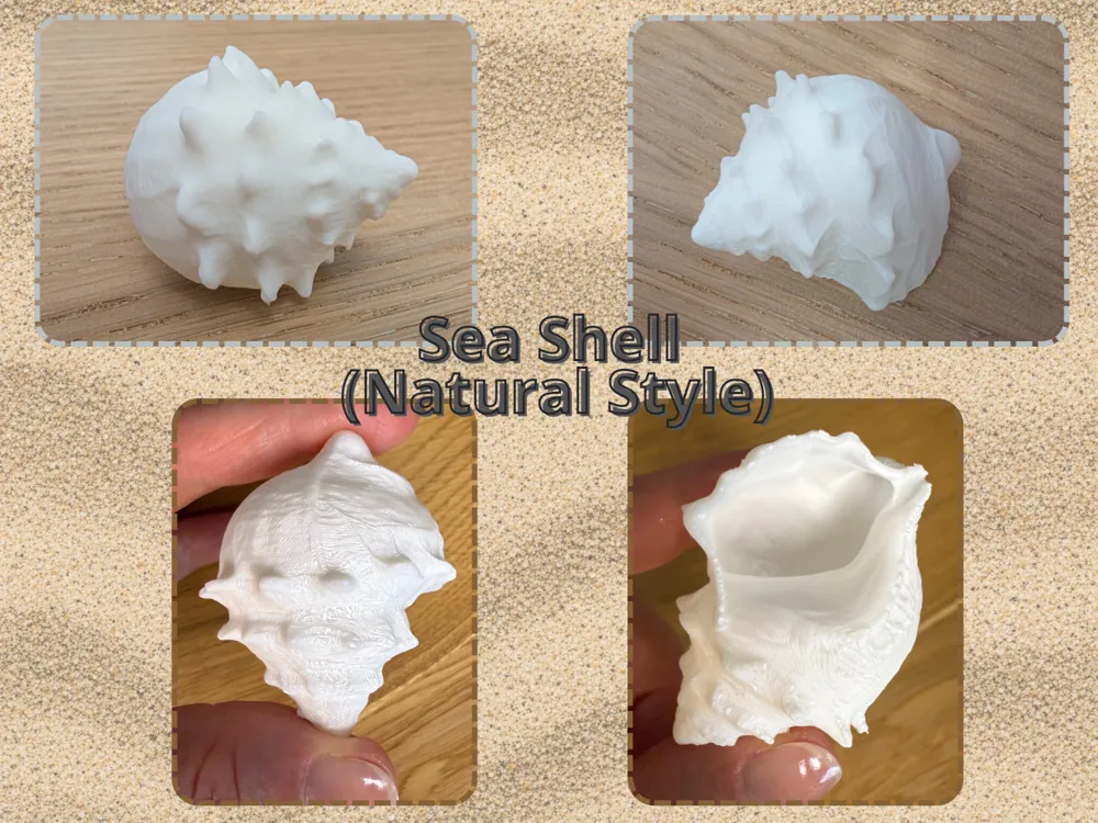Sea Shell (Natural Style) by ViperWolf MakerWorld: Download Free 3D Models