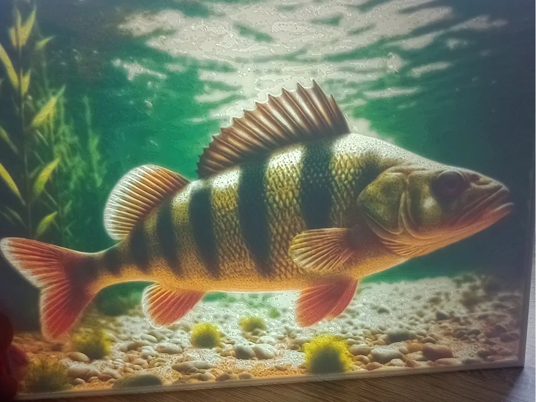 Lithophane Bild von einem Barsch in Farbe von Stefan B. MakerWorld ...