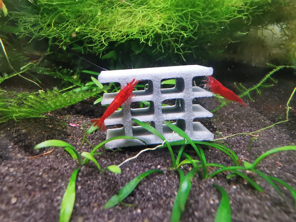 BioBrick Shrimp Shelter: Safe & Nourishing Habitat by Isuka - MakerWorld