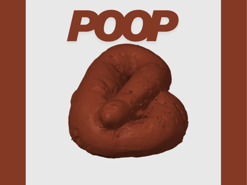 Fake Poop - Free 3D Print Model - MakerWorld
