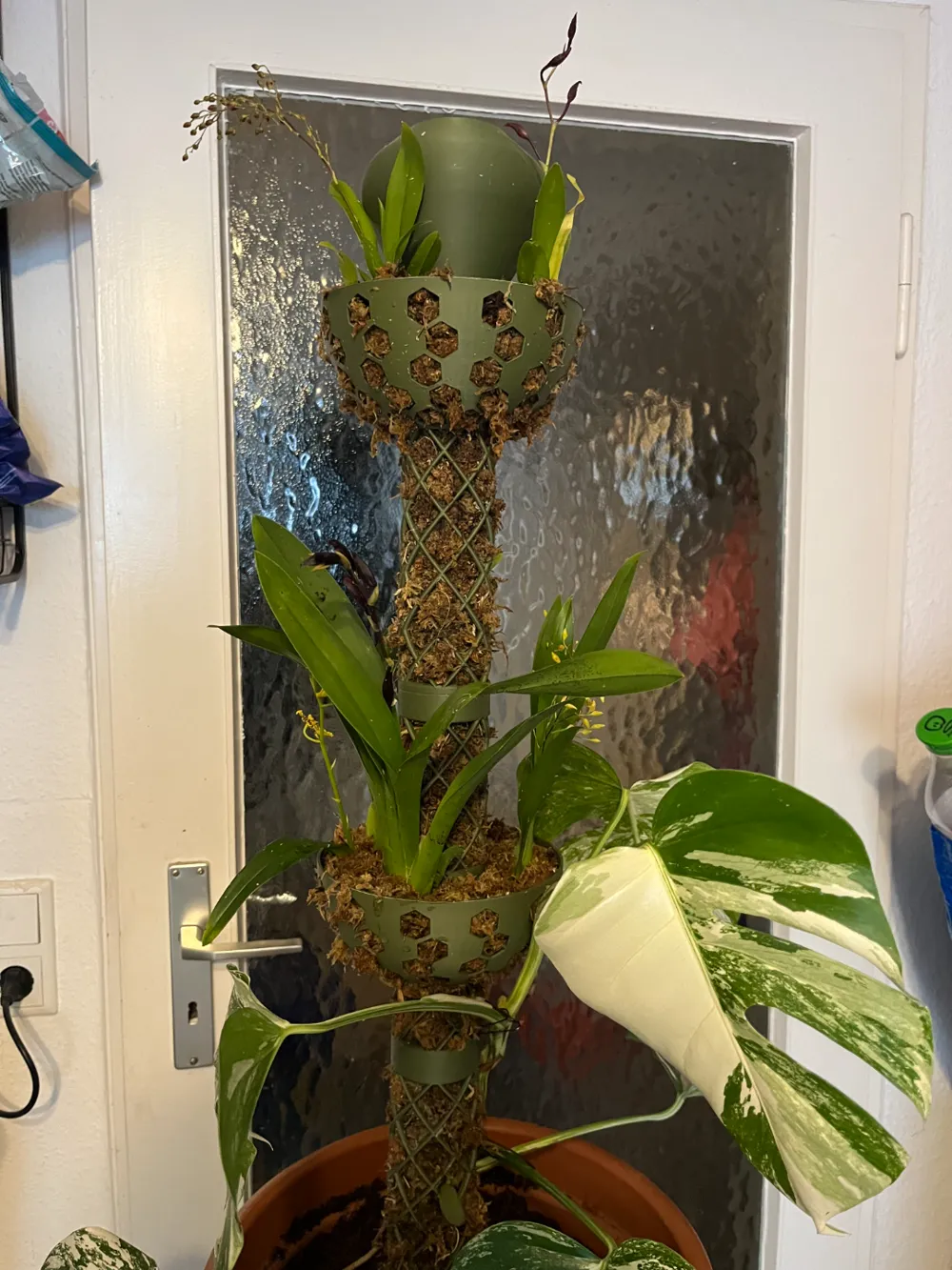 Planter for 40mm Mosspole by Atos - MakerWorld