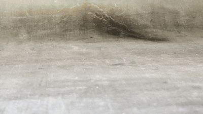 Checkered Flexigrid Collection by jetpad MakerWorld: Download Free 3D ...