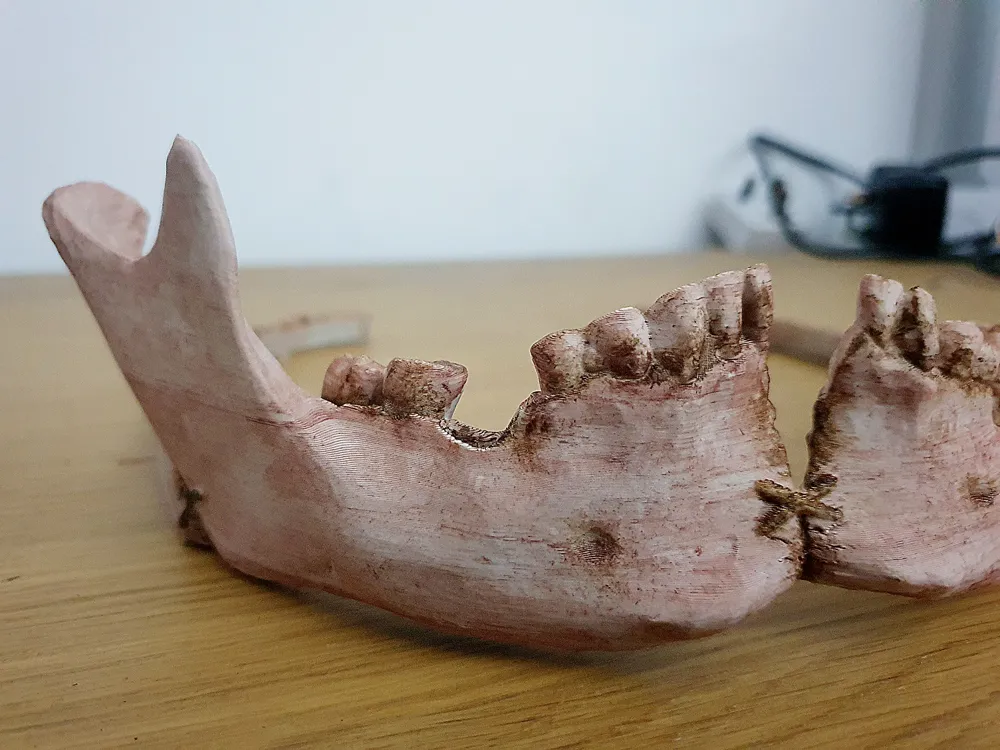 Voodoo Warrior Mandible Crown by Ellcato3D MakerWorld: Download Free 3D ...