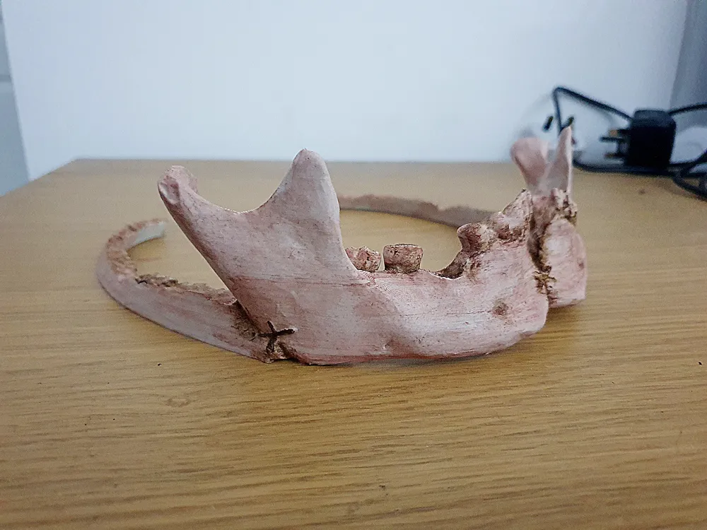 Voodoo Warrior Mandible Crown by Ellcato3D MakerWorld: Download Free 3D ...