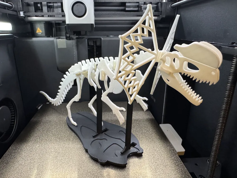 Dilophosaurus Dinosaur Skeleton Puzzle Remixed by Hef413 MakerWorld ...