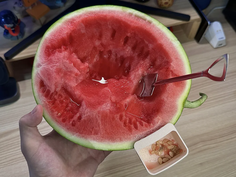 [Watermelon Seed Catcher]-Watermelon Seed Container by CocoTruck ...