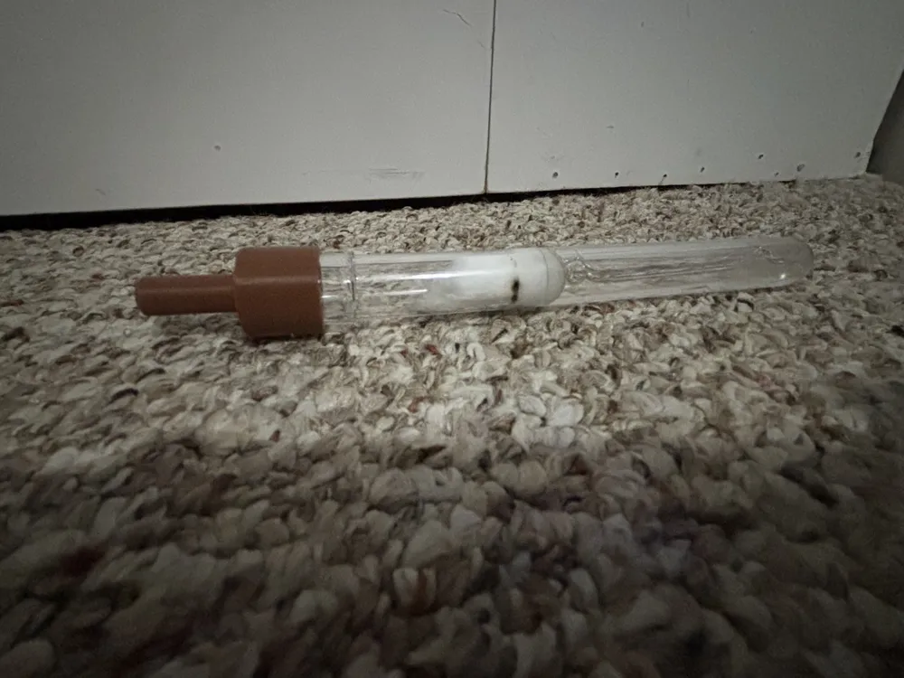 AC test tube adaptor for Tarheel ant nests - Free 3D Print Model ...