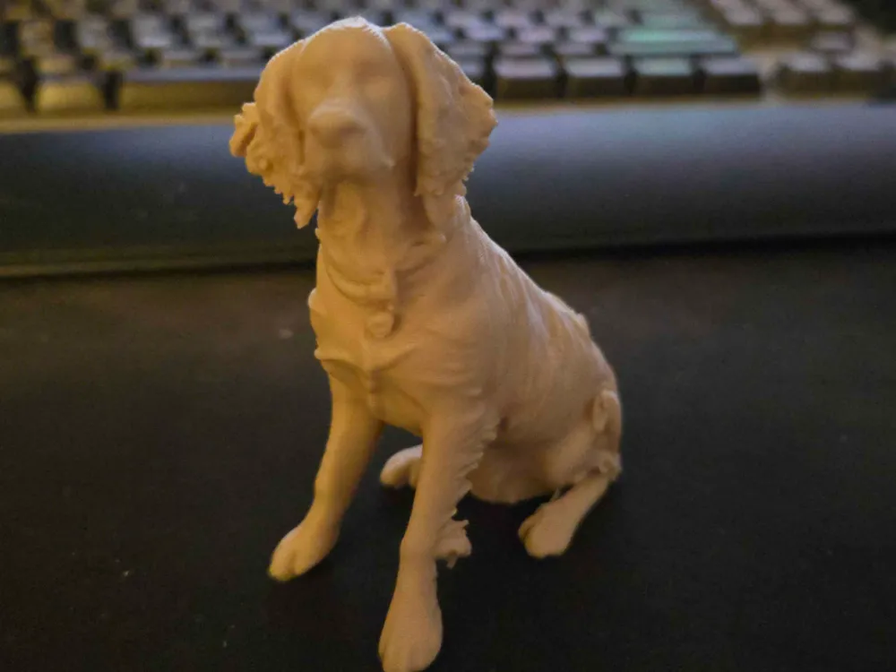 Springer Spaniel by Newtonr20 MakerWorld: Download Free 3D Models