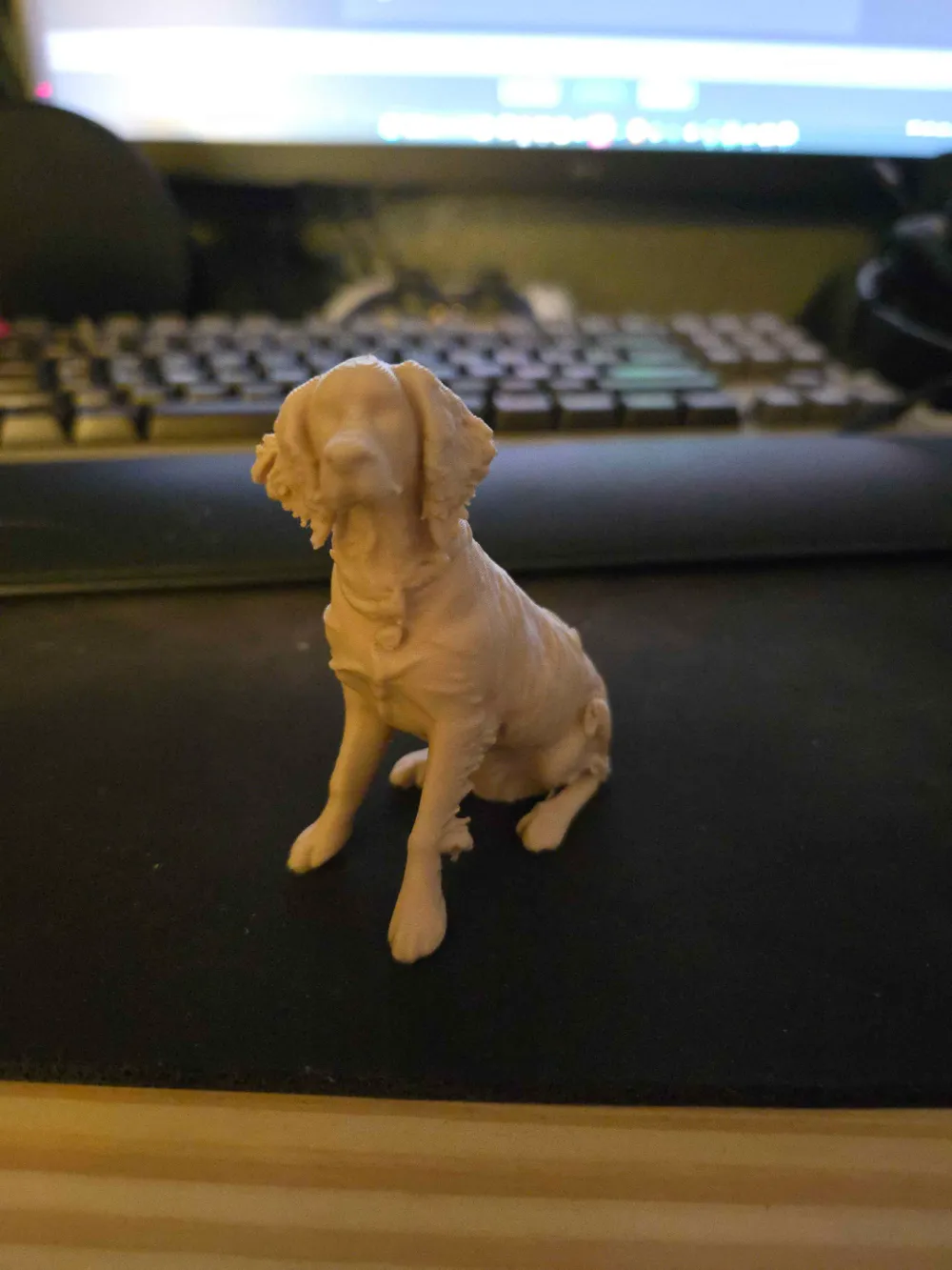 Springer Spaniel by Newtonr20 MakerWorld: Download Free 3D Models