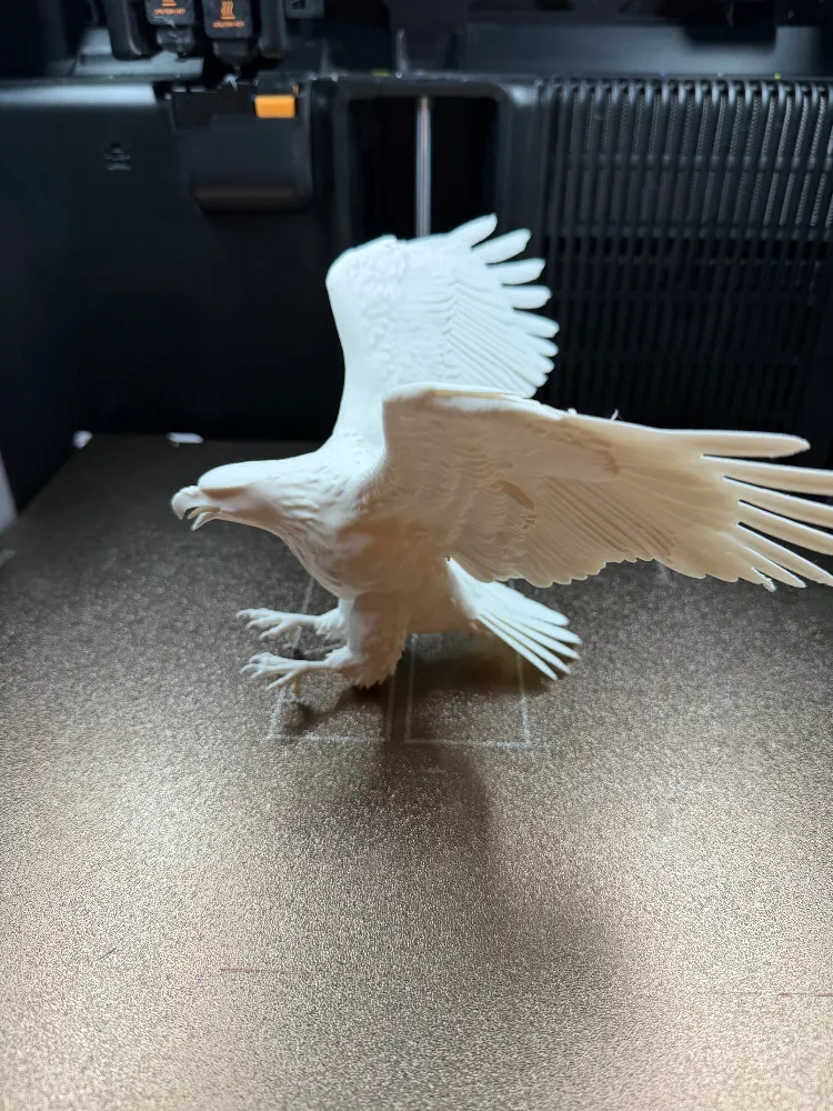 Eagle Bald Eagle Bald Eagle - Free 3D Print Model - MakerWorld