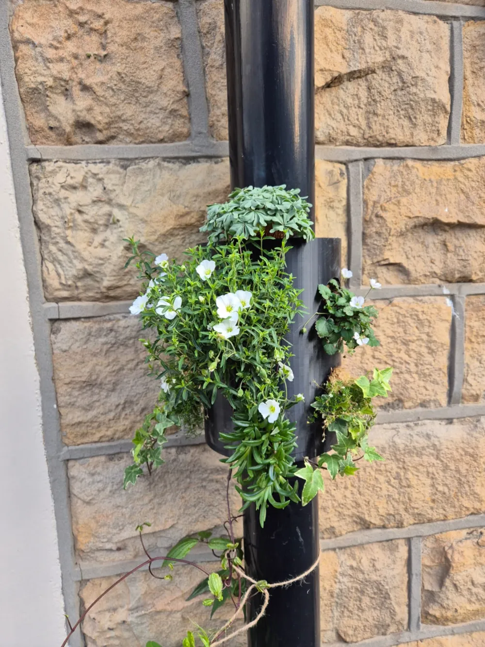 Pipe Planter by nuno.3d - MakerWorld