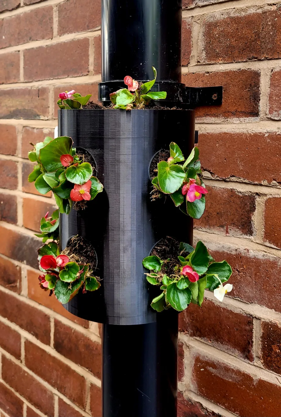 Pipe Planter by nuno.3d - MakerWorld