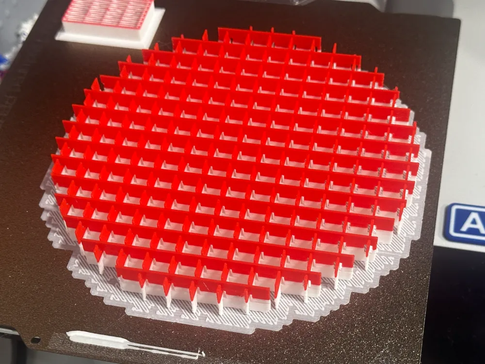 Multicolor Fidget Morf Worm - Morph Worm Remixed by A1 Graphix ...