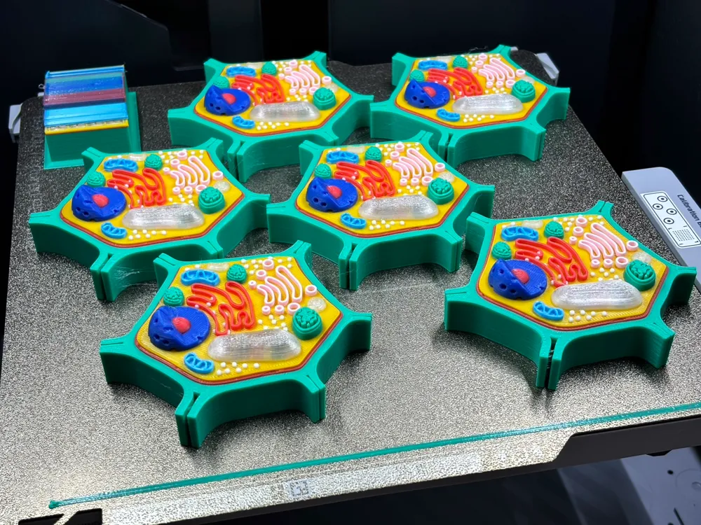 Plant Cell - Free 3D Print Model - MakerWorld