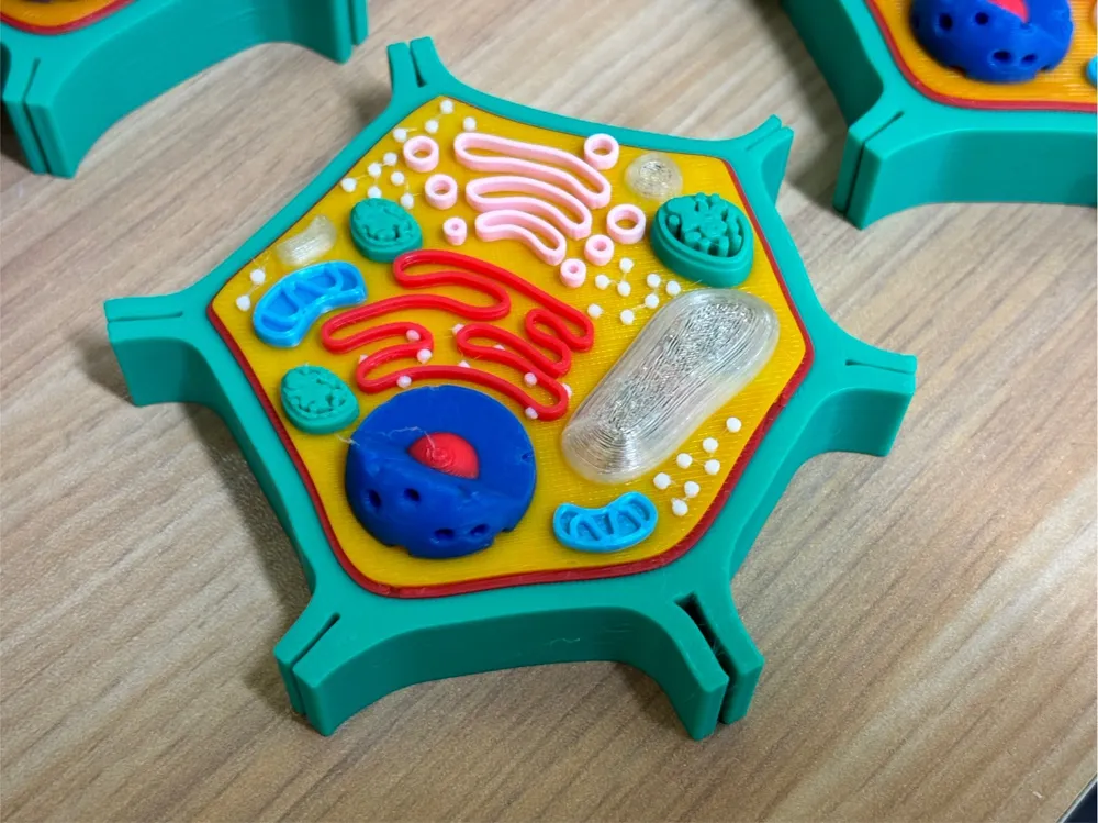 Plant Cell - Free 3D Print Model - MakerWorld