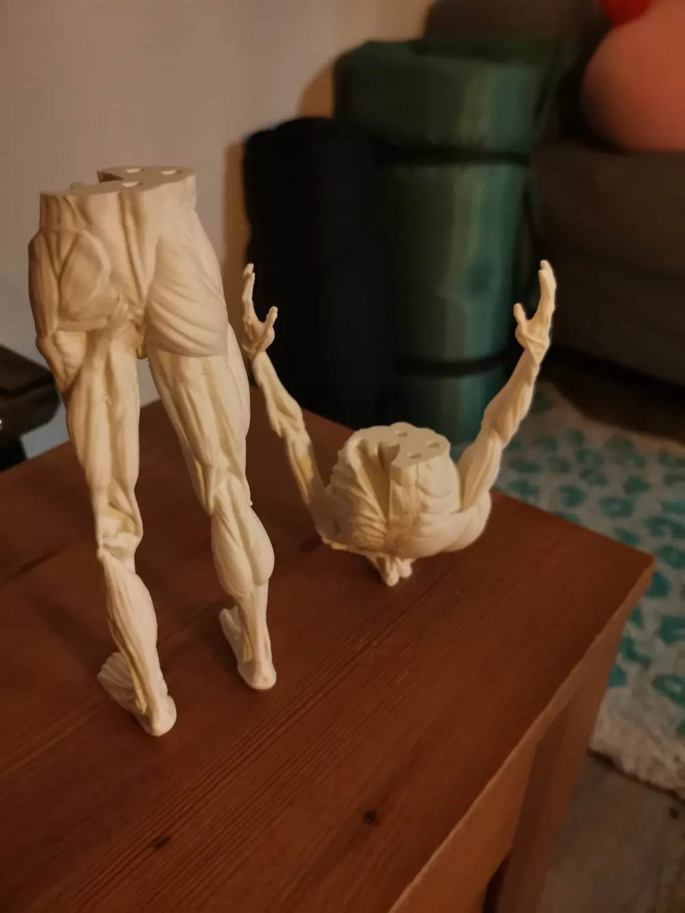 Ecorche (Easy Assembly) - Human Anatomy Remixed by xipit - MakerWorld
