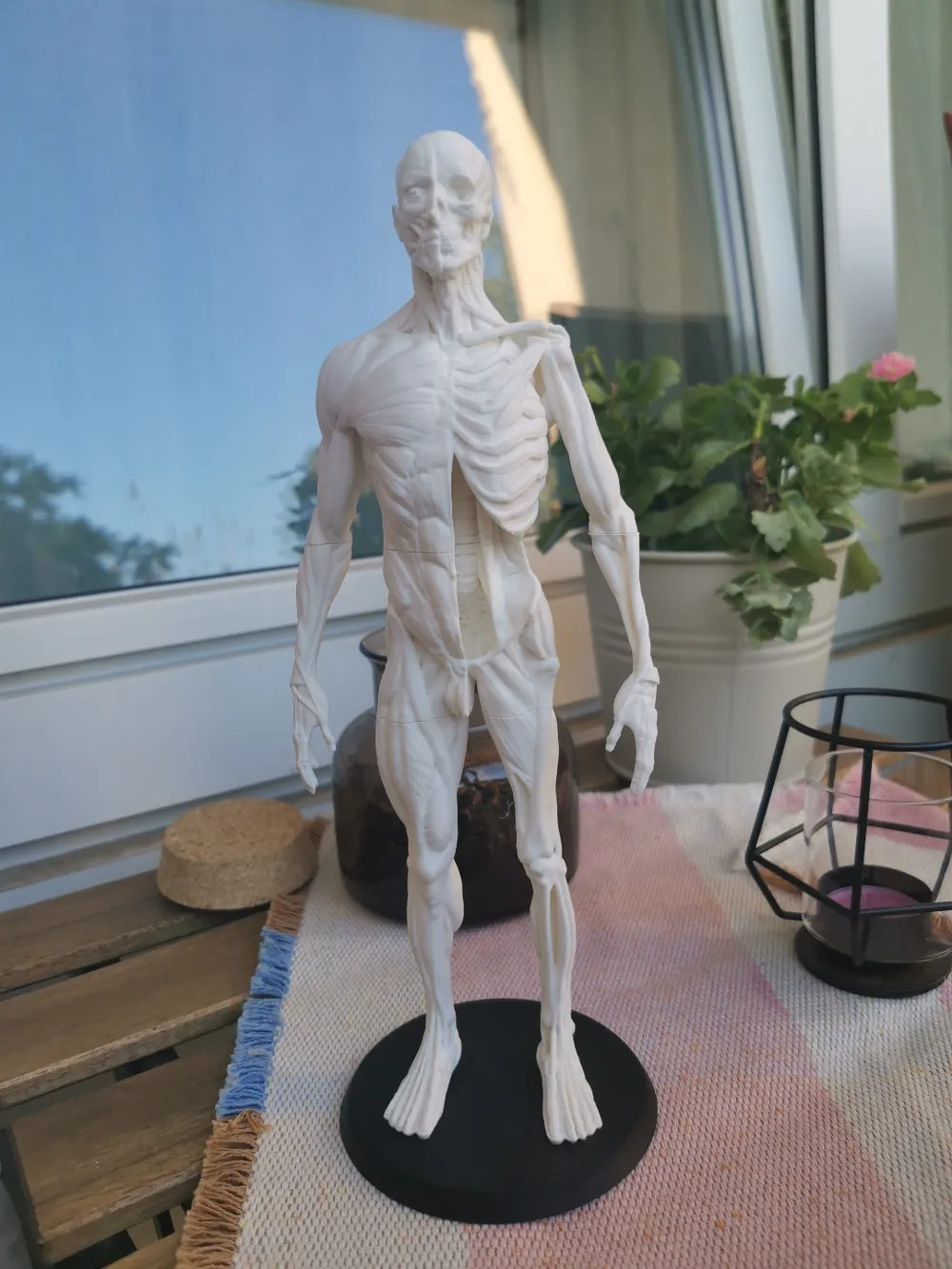 Ecorche (Easy Assembly) - Human Anatomy (25 cm) - Free 3D Print Model ...