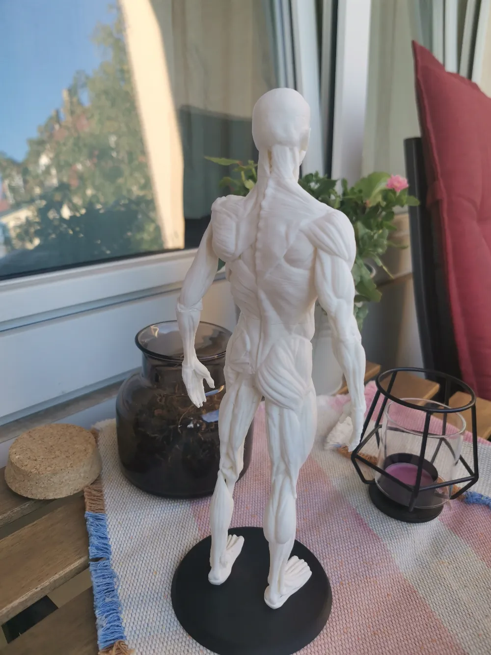Ecorche (Easy Assembly) - Human Anatomy Remixed by xipit - MakerWorld