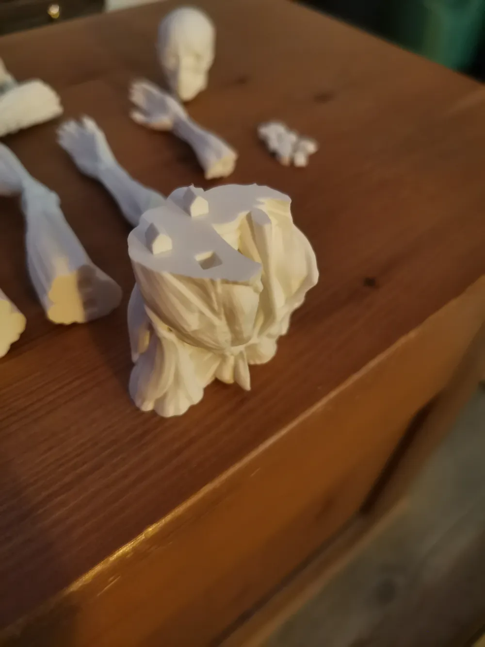 Ecorche (Easy Assembly) - Human Anatomy Remixed by xipit - MakerWorld