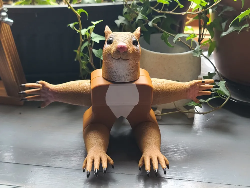 Archie McPhee Handi Squirrel Display Stand by Imagine-Reality - MakerWorld