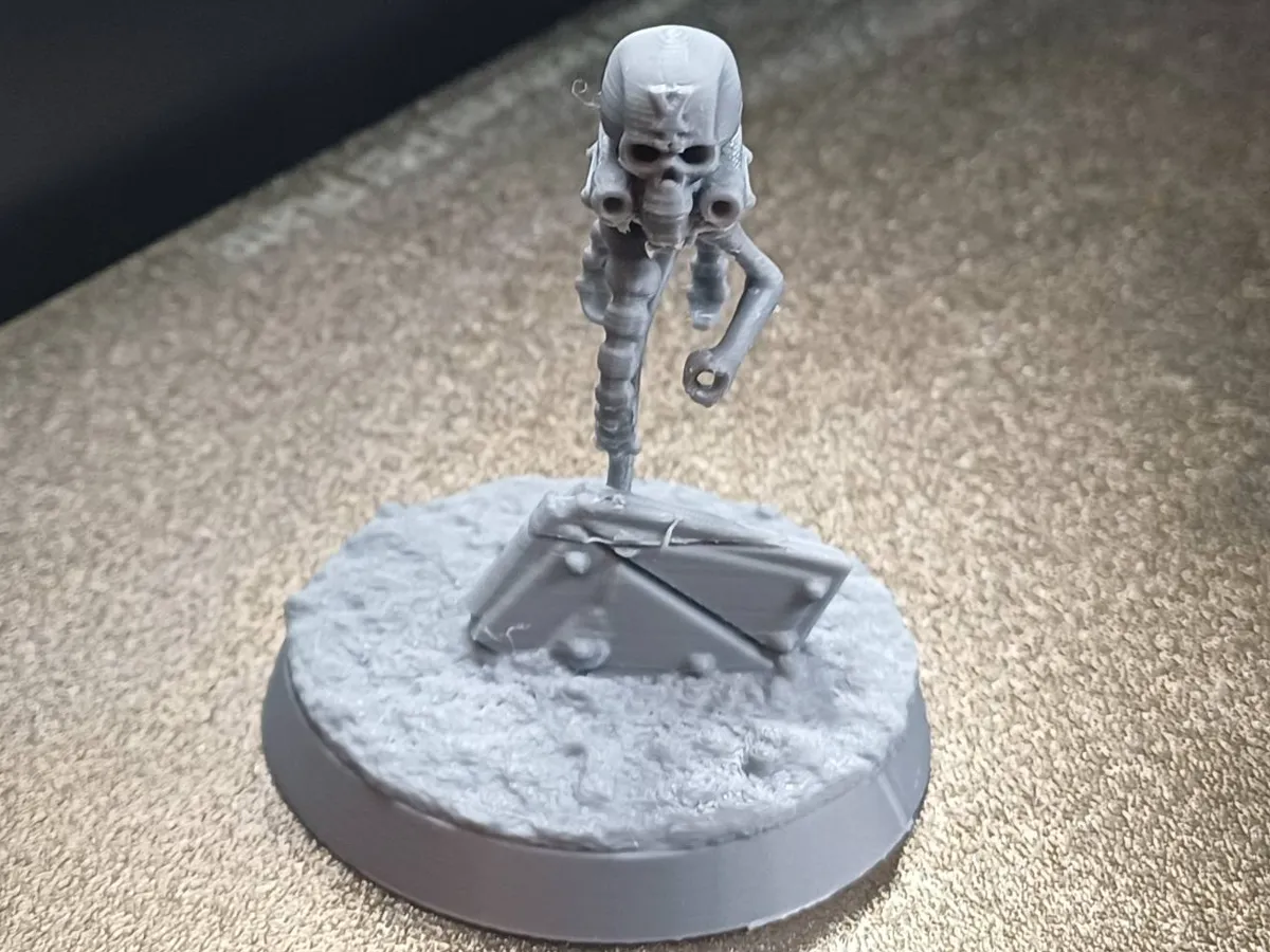 Scanning skull 3 - Free 3D Print Model - MakerWorld