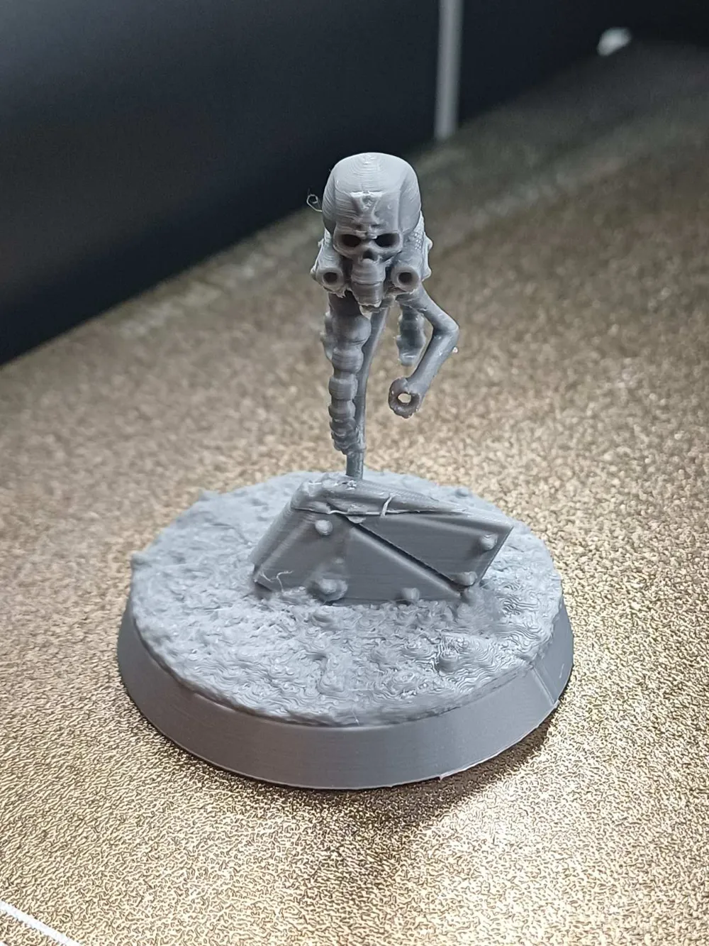 Scanning skull 3 - Free 3D Print Model - MakerWorld